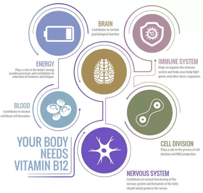 B12 Shots Woodland Hills | EllEve Med Spa